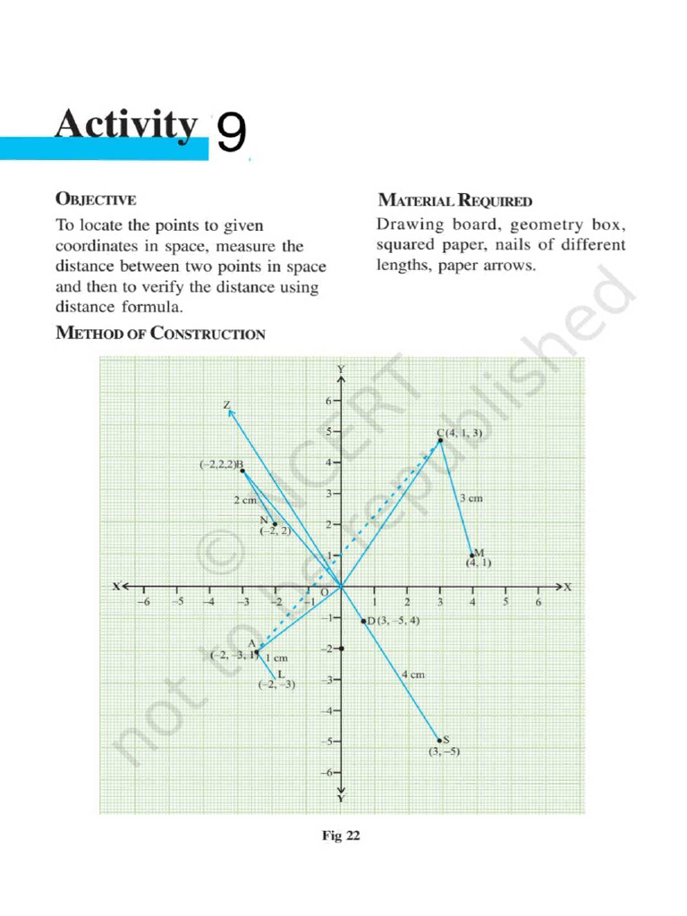 XII - Activity 9 | PDF