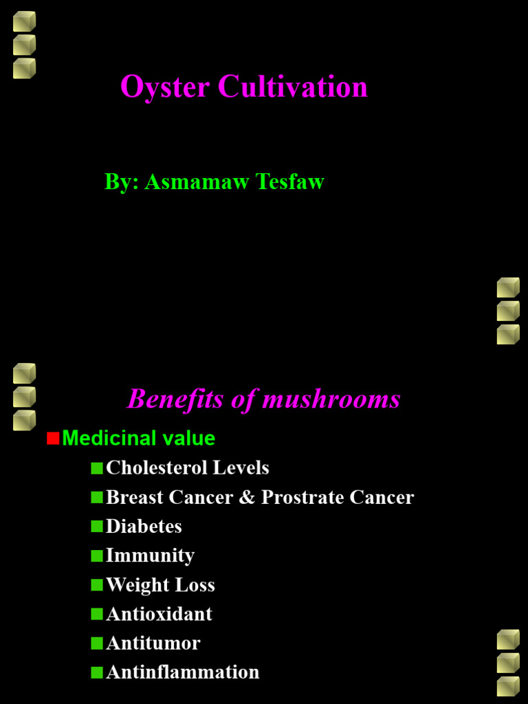 Mushroom | PDF