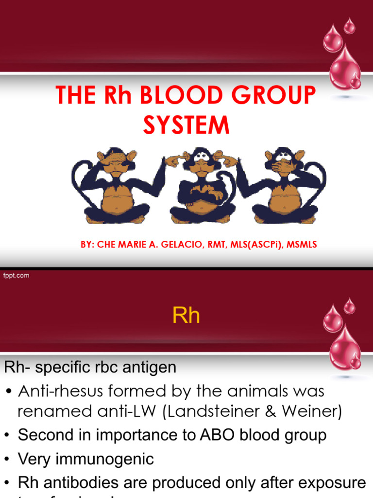 3rh 2 | PDF | Blood Type | Immunoglobulin G