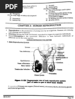 1 Summative Test in Science 5 | PDF | Menstrual Cycle | Ovary