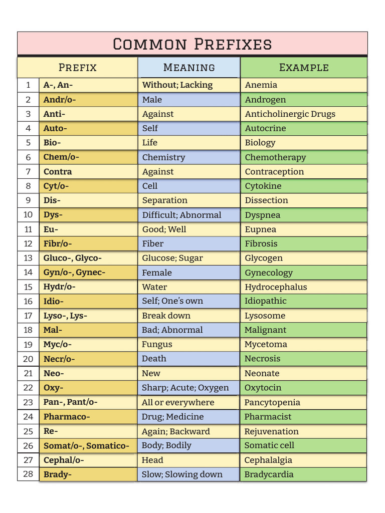 A4 - Colors - Medical Terminology | PDF