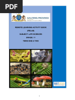 Life Orientation Focus Textbook Grade 11 | PDF