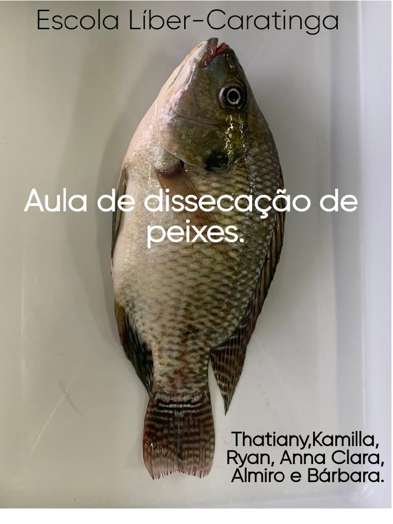 Peixe - Aula Pratica | PDF