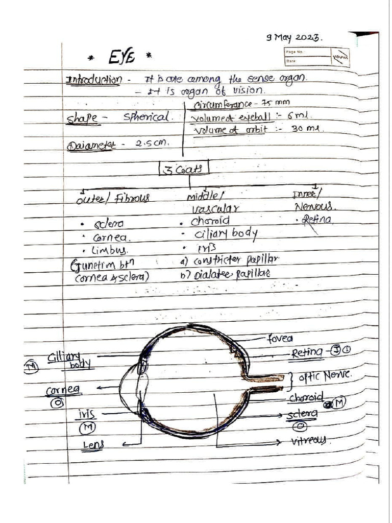 Eye Handwritten Notes Pdf