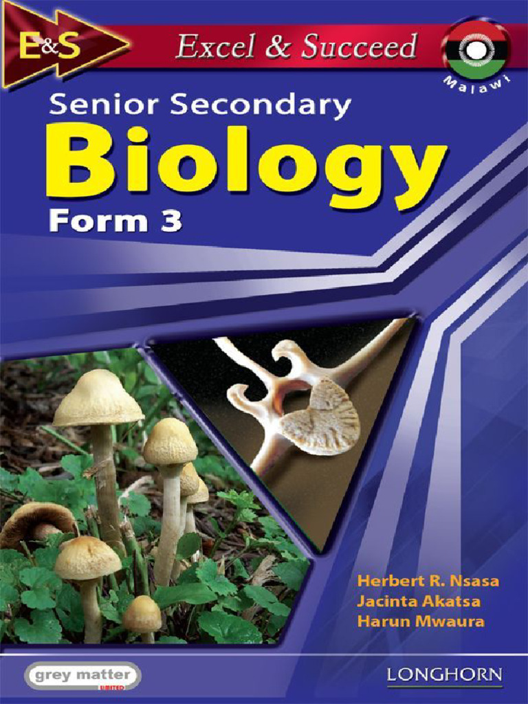 Excel Biology 3 | PDF | Plant Stem | Leaf