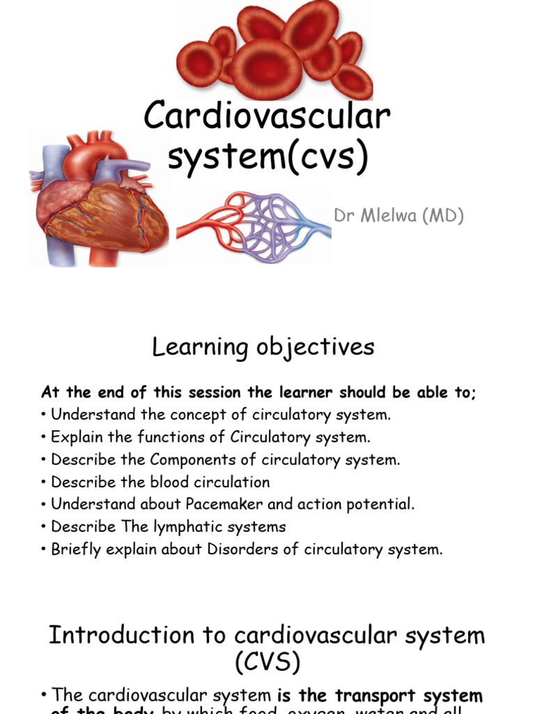 Overview of the Cardiovascular System | PDF | Heart | Electrocardiography