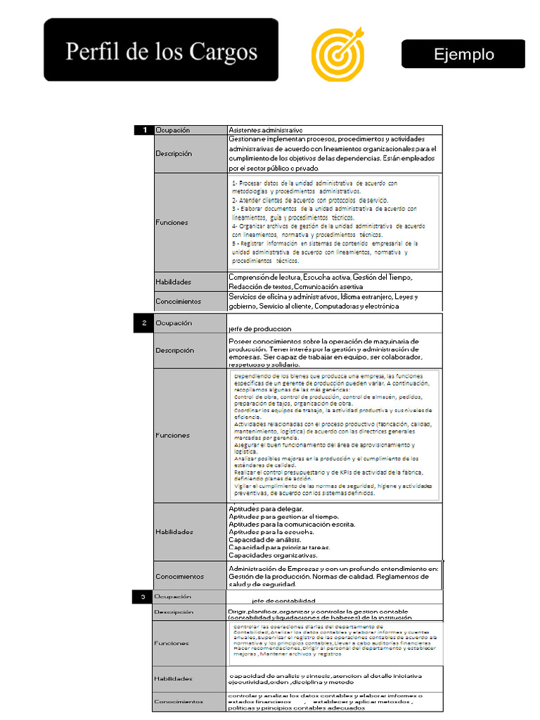 Perfil de Cargo | PDF