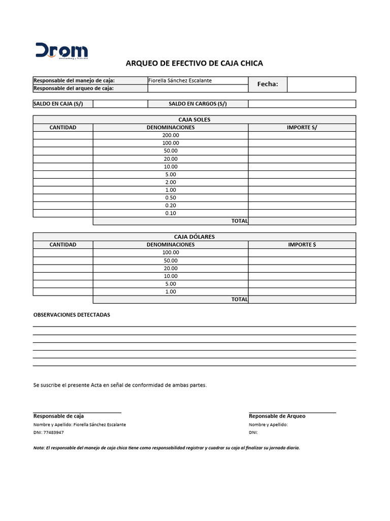 Informe de Arqueo de Caja Chica | PDF