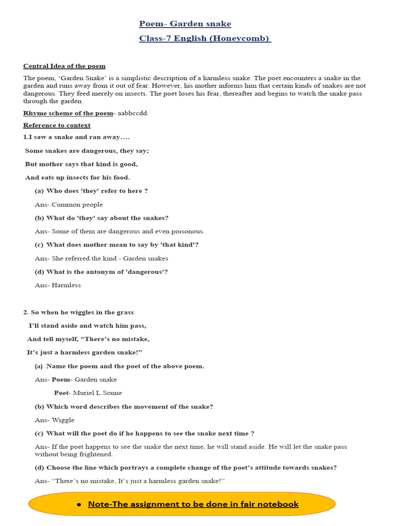 Garden Snake (Written Assignment) | PDF