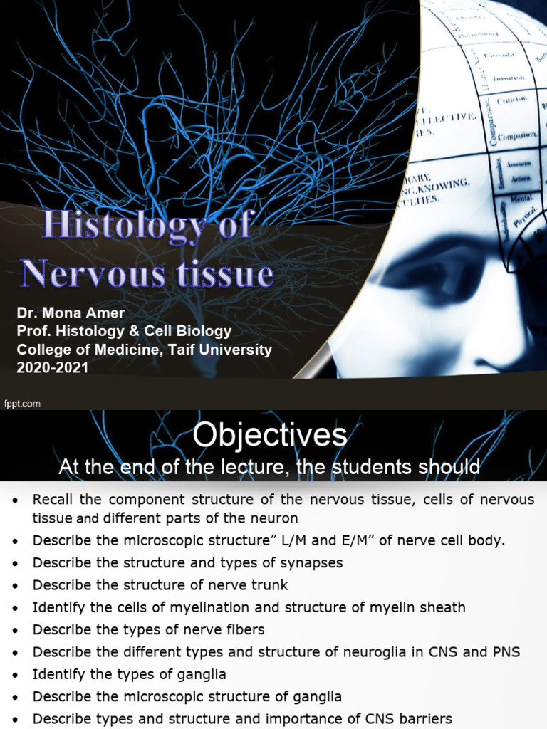 Nervous Tissue 4th Year 2020-2021 DR Mona1 | PDF | Axon | Neuron