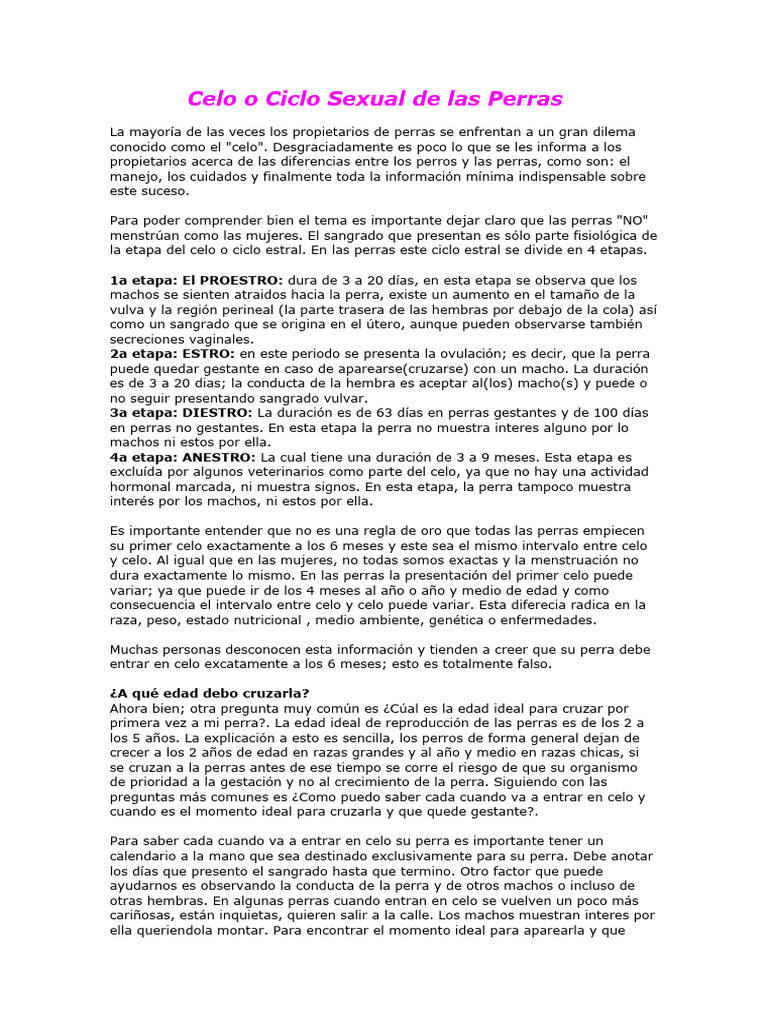 Celo o Ciclo Sexual en perras | PDF | Ántrax | Parto