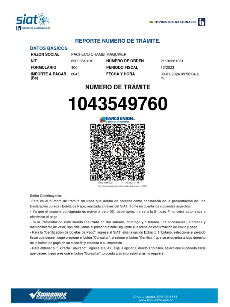 Guia de Declaraciones Juradas | PDF