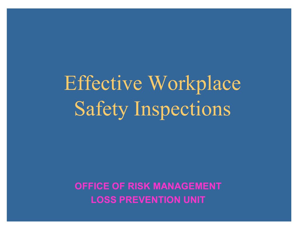 Workplace Inspection | PDF