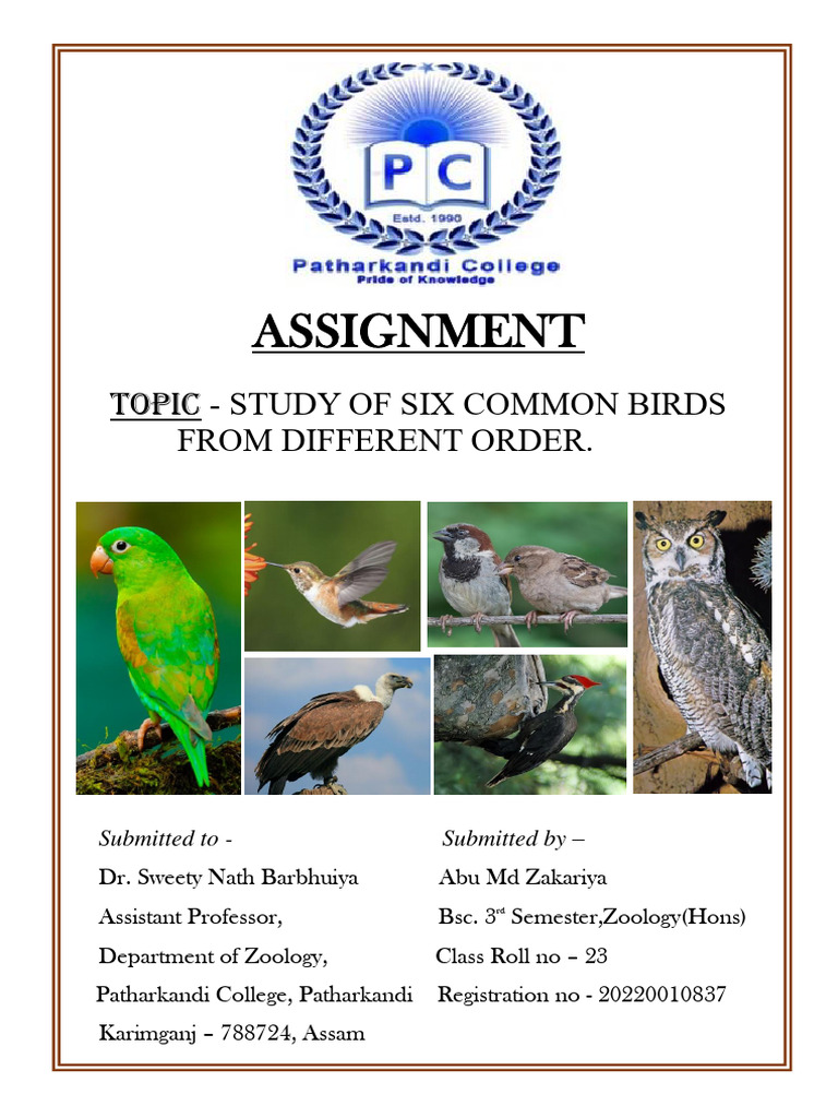 Assignment: Topic - Study of Six Common Birds From Different Order | PDF