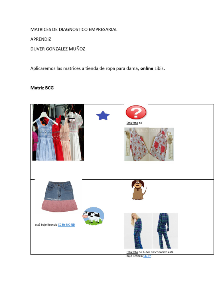 Matrices De Diagnostico Empresarial Pdf Mercado Economía Ropa