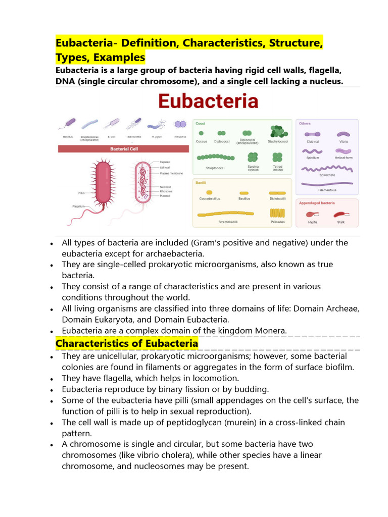 Eubacteria - Definition, Characteristics, Structure, Types, Examples | PDF | Bacteria | Cell ...