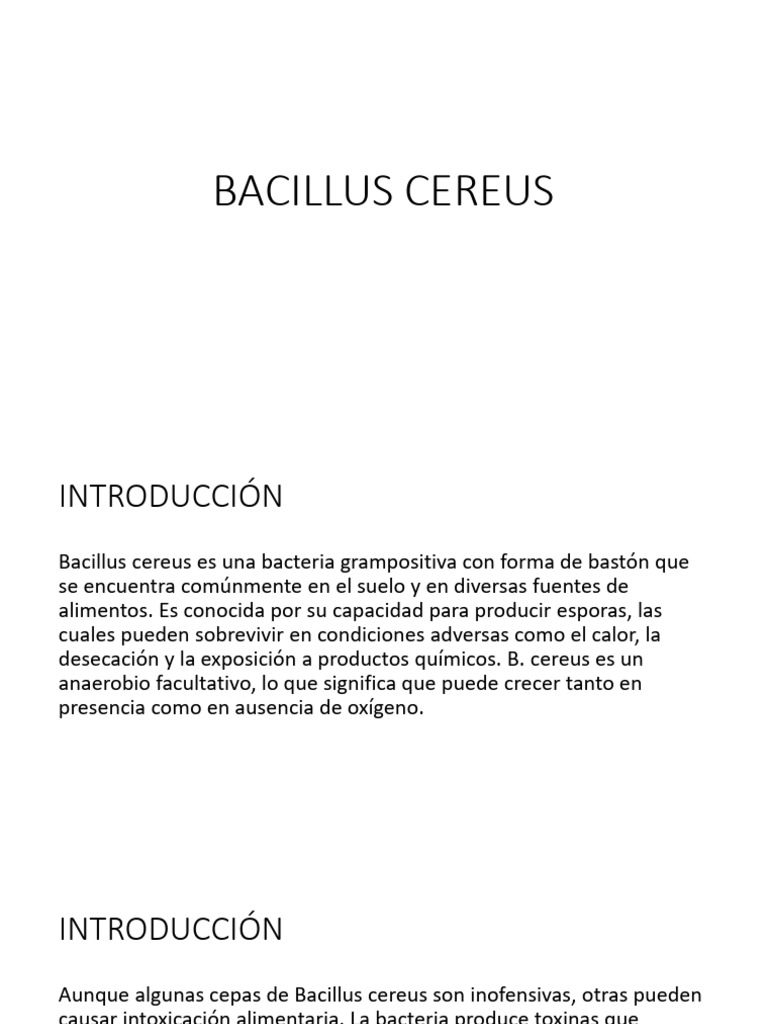 Bacillus Cereus | PDF | Hibridación de ácido nucleico | Bacilo