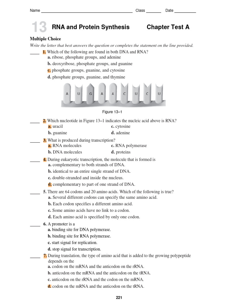 RNA and Protein Synthesis Test A | PDF | Rna | Gene