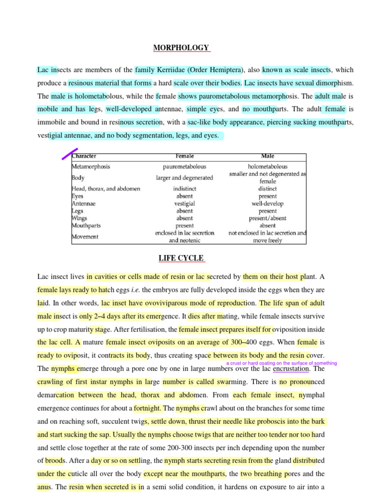 Morphology and Life Cycle of Lac Insect | PDF | Insects | Arthropods