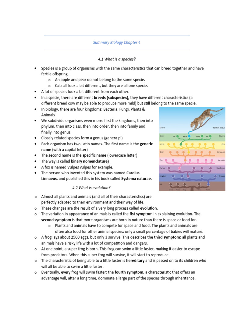 Summary Biology Chapter 4 | PDF | Homo | Evolution