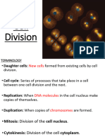 Grade 10 Mitosis Notes | PDF | Mitosis | Meiosis