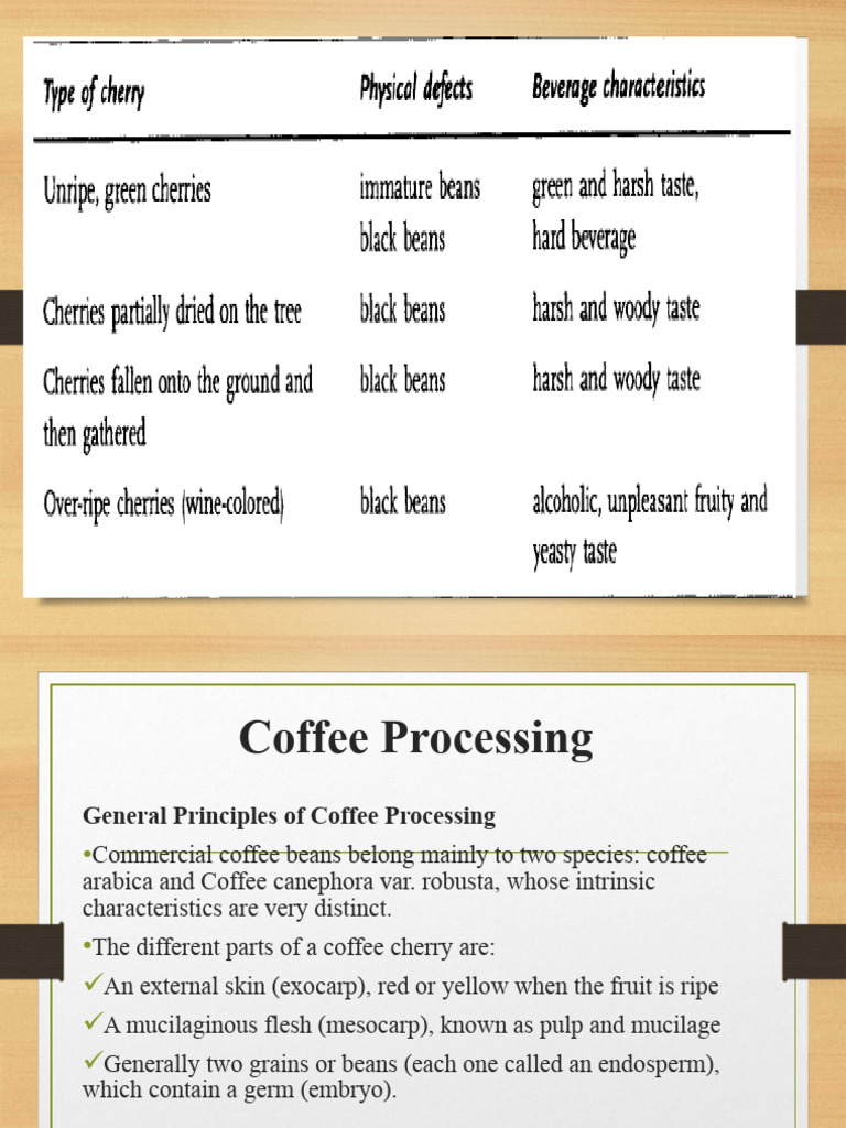 Coffee 33 | PDF | Coffee