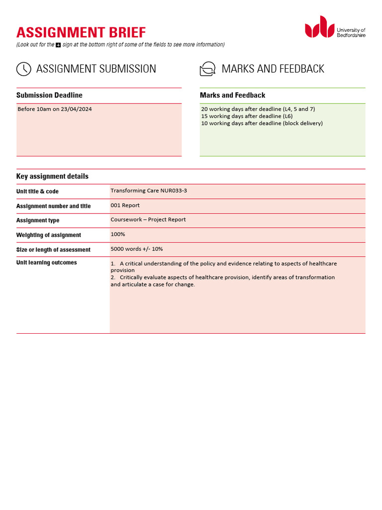 Healthcare Change Project Report Guide | PDF | Critical Thinking ...
