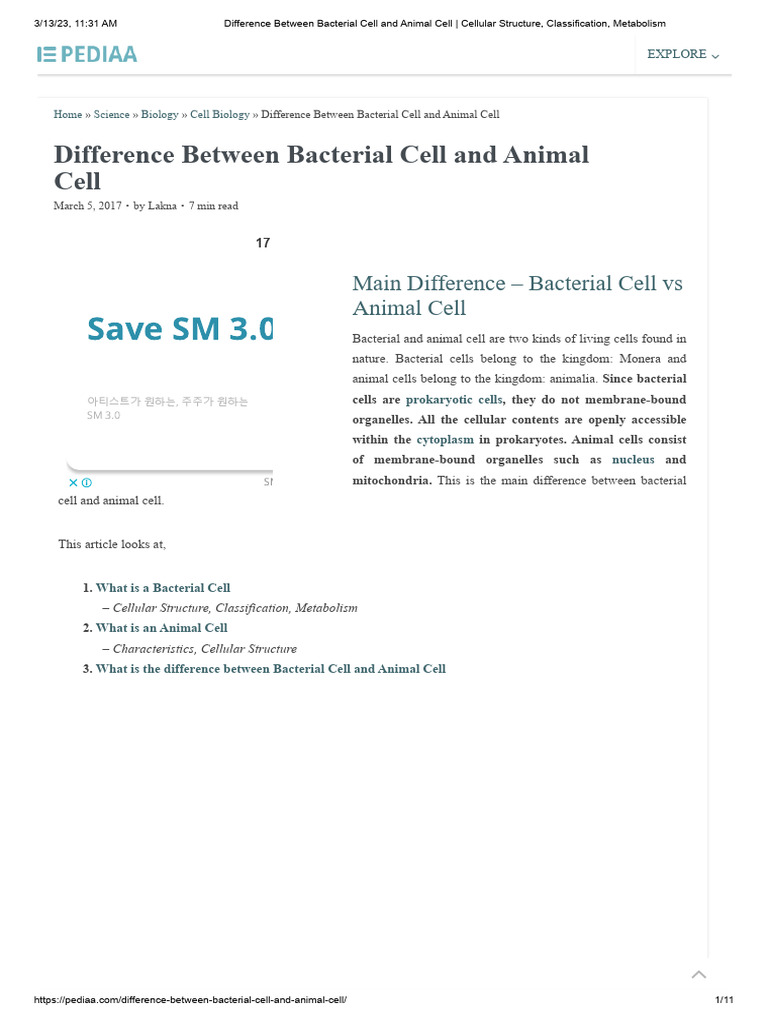 Difference Between Bacterial Cell and Animal Cell _ Cellular Structure ...