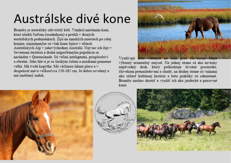 Austrálske Divé Kone | PDF