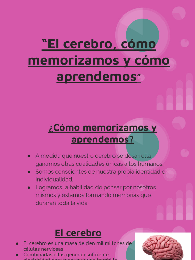 Como Memorizamos y Aprendemos Ed - Temprana | PDF