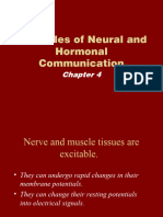 Neural vs. Hormonal Communication | PDF | Chemical Synapse | Excitatory ...