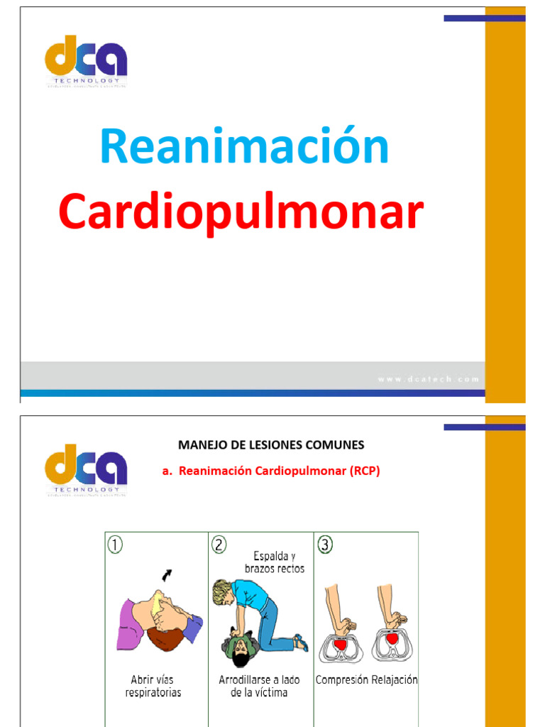 Reanimación Cardiopulmonar | PDF | Paro cardíaco | Reanimación cardiopulmonar