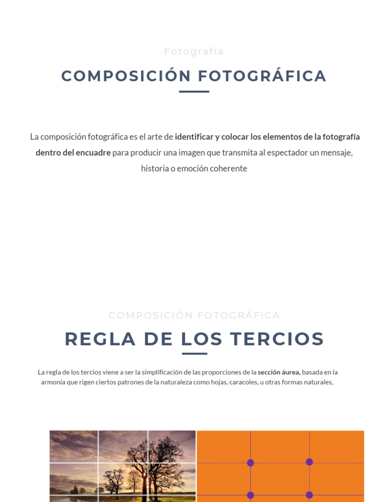 Guía Completa de Composición Fotográfica | PDF | Composición (artes ...
