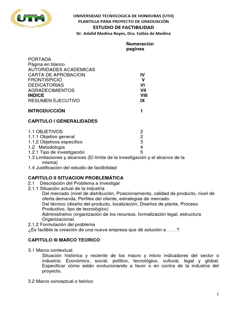 Estudio de Factibilidad Formato | PDF | Presupuesto | Estudio de factibilidad