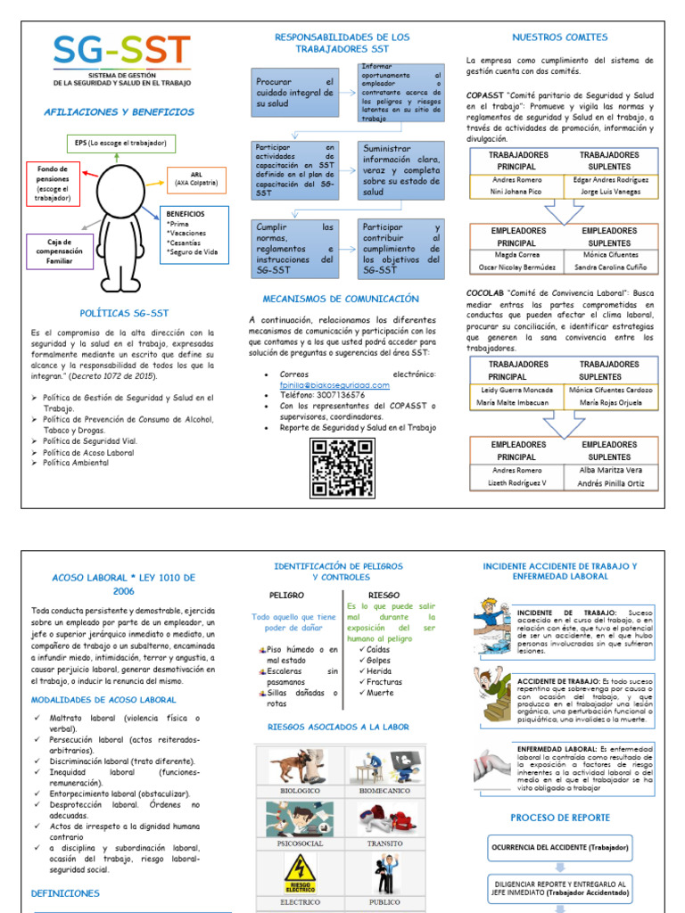 Inducción y Reinducción en Seguridad y Salud en El Trabajo | PDF