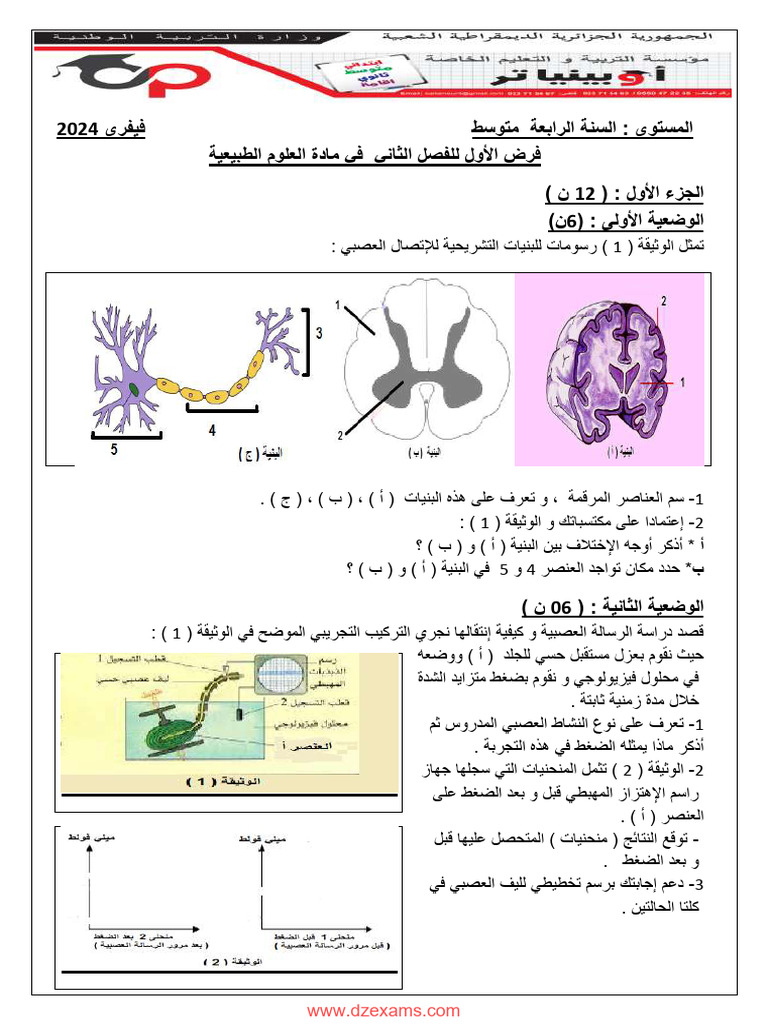 Dzexams 4am Sciences Naturelles 279074 | PDF
