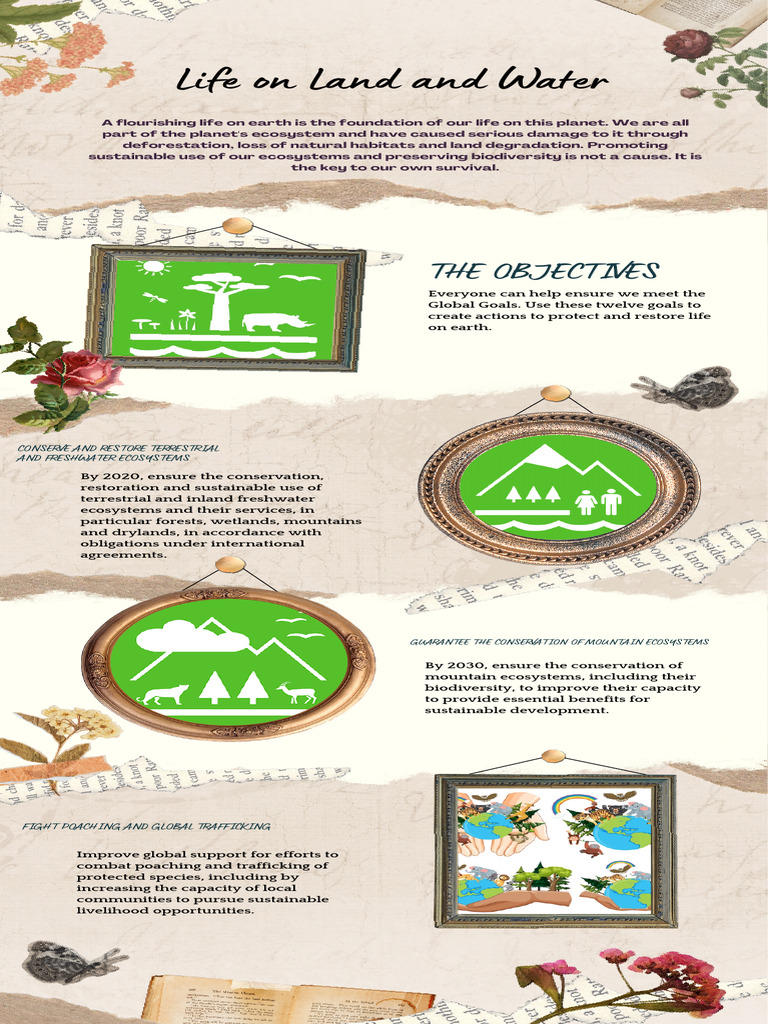 Brown Scrapbook Museum of History Infographic | PDF