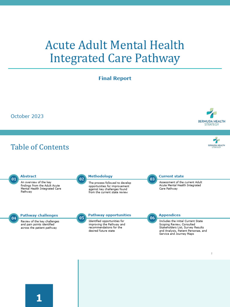 Acute Adult Mental Health Integrated Care Pathway Report FNL October ...