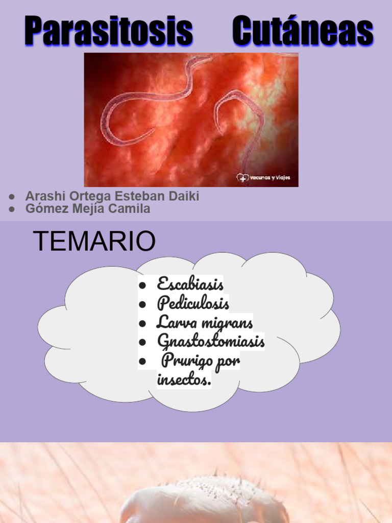 Parasitosis Cutáneas | PDF | Especialidades Medicas | Medicina CLINICA