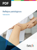 Valoración de Reflejos Osteotendinosos | PDF | Unión neuromuscular ...