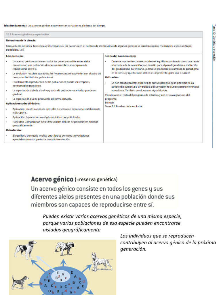 3._Acervos_genéticos_y_especiación_TANS | PDF | Evolución | Evolución ...