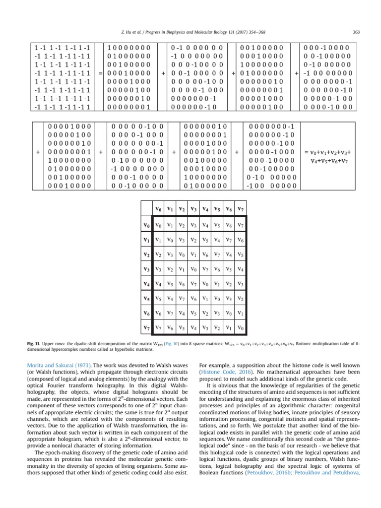 Walsh Waves | PDF | Matrix (Mathematics) | Holography