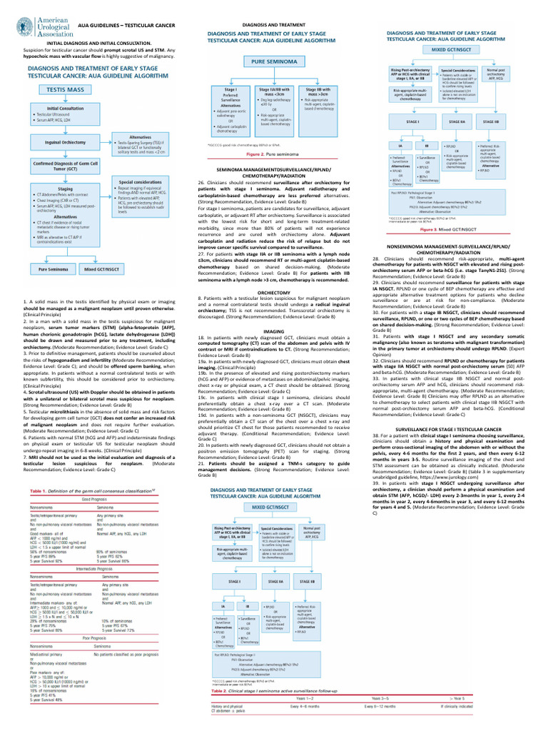 AUA Testicular Cancer Guidelines | PDF | Clinical Medicine | Epidemiology