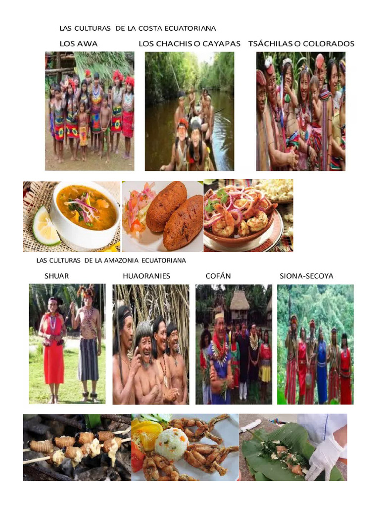 Regiones y Cultura Del Ecuador | PDF