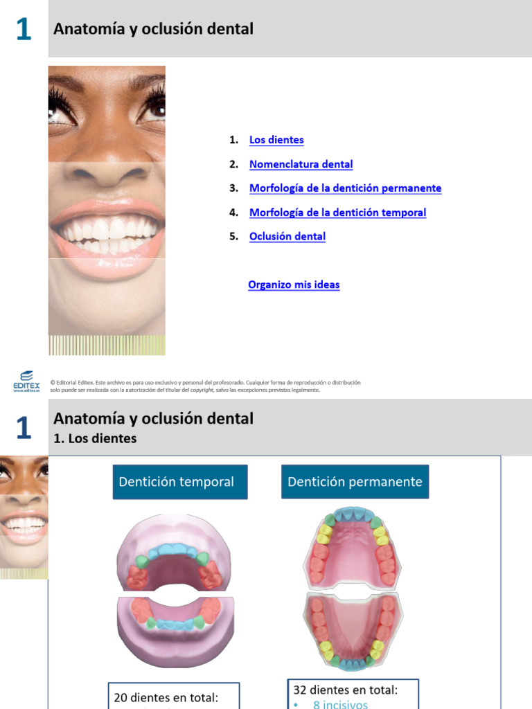 PRESENTACION Ud01 ECO PDF | PDF | Boca | Diente