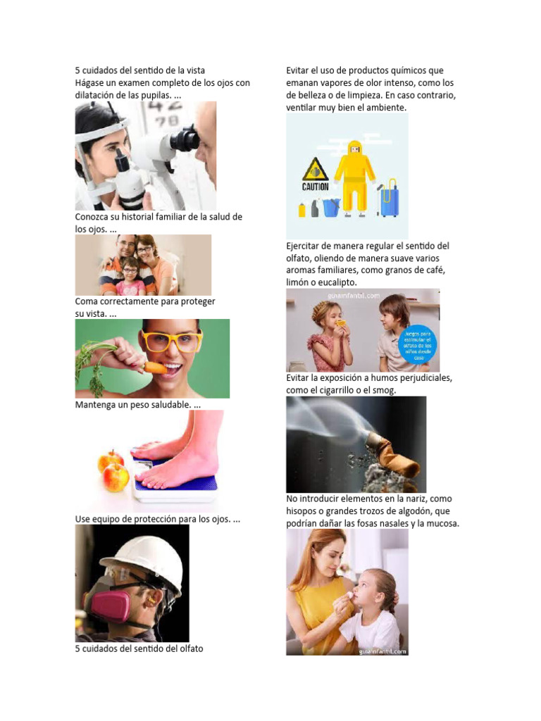 5 Cuidados Del Sentido de La Vista | Descargar gratis PDF | Resfriado comun