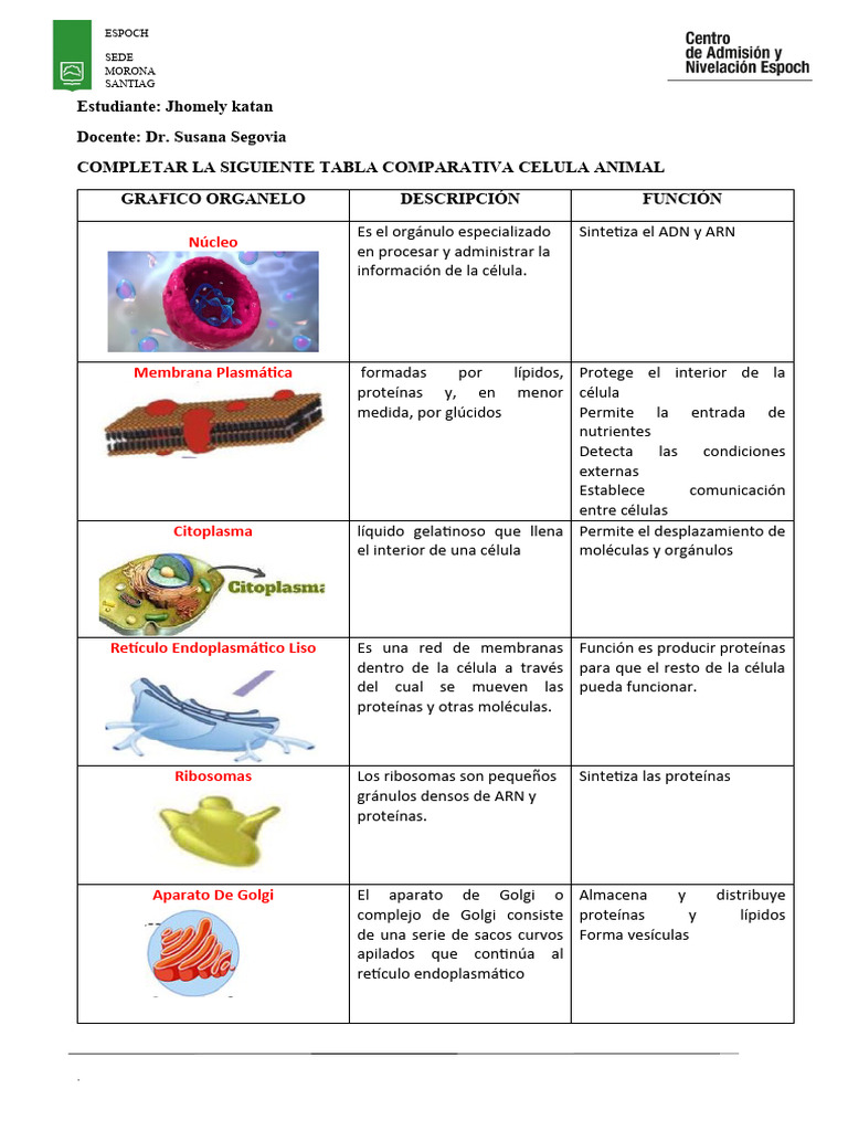 Celula Animal-Partes | PDF | Biología Celular) | Histología