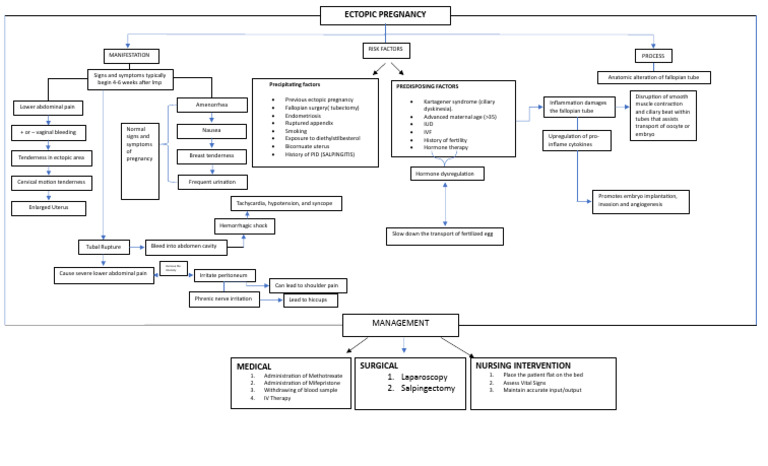 Pathophysiology of Ectopic Pregnancy | Download Free PDF | Gynaecology ...