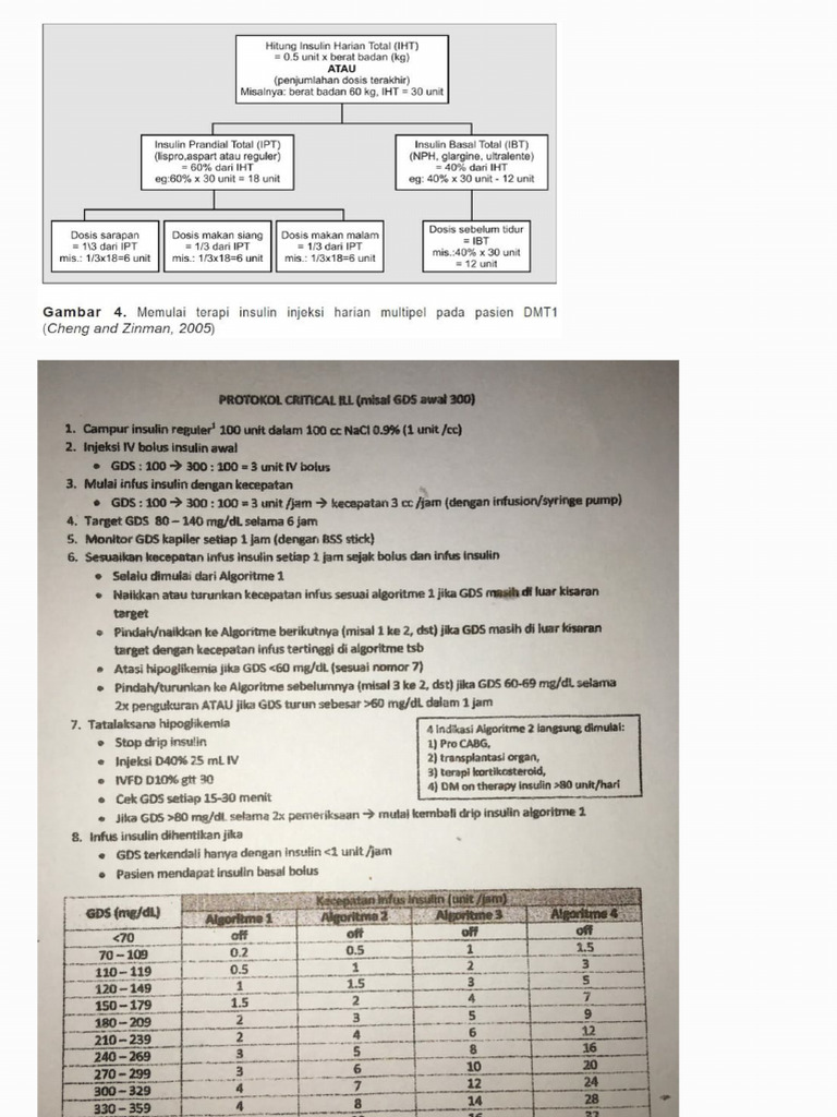 Insulin, Critical Ill, Perkeni - 220728 - 204558 | PDF