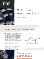 S03.s1 - Cola de Una Aeronave | PDF | Empenaje | Aeronave